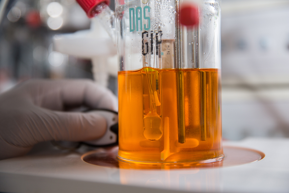 Researchers at U of T's Medicine by Design scale up stem cell ...