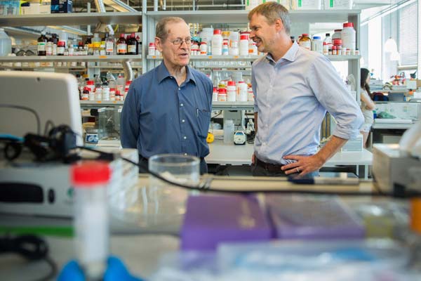 U of T expands research facilities in new partnership with MaRS - Stem ...