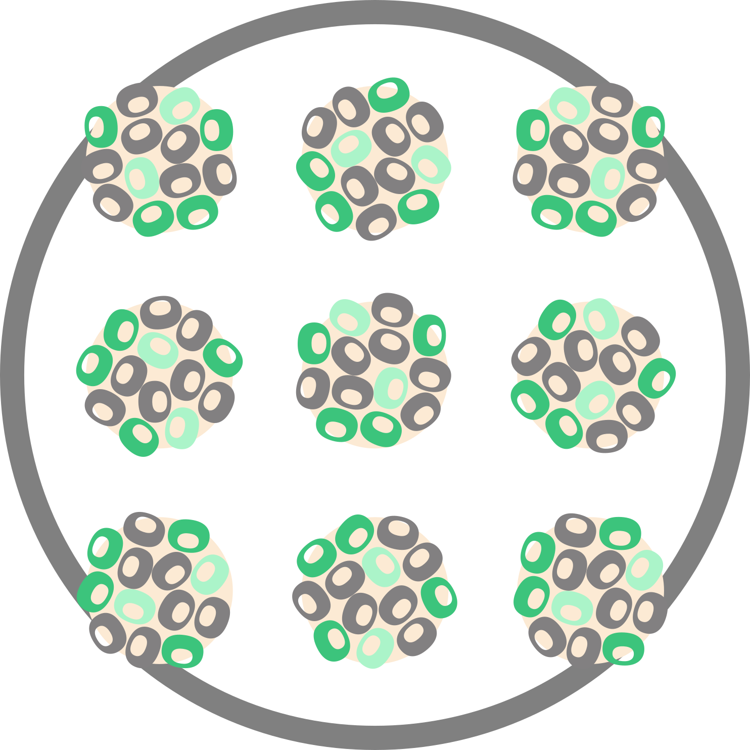 Facilities - Stem Cell Bioengineering